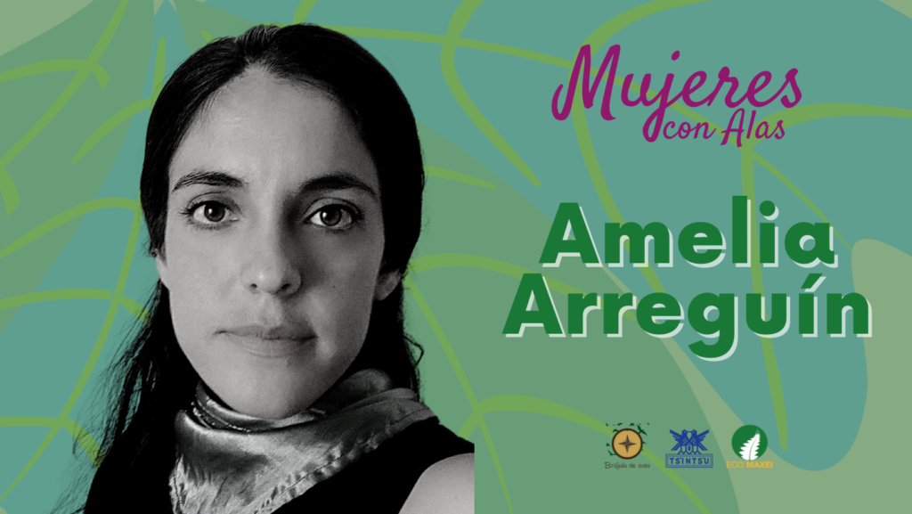 Amelia Arreguín, una Mujer con alas – EcoMaxei